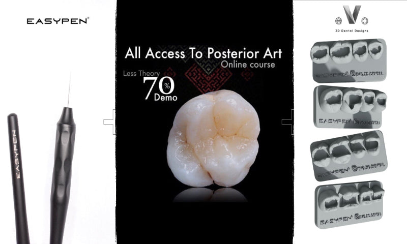 EASYPEN + Online Course + Evo 3D Training Modeling Block